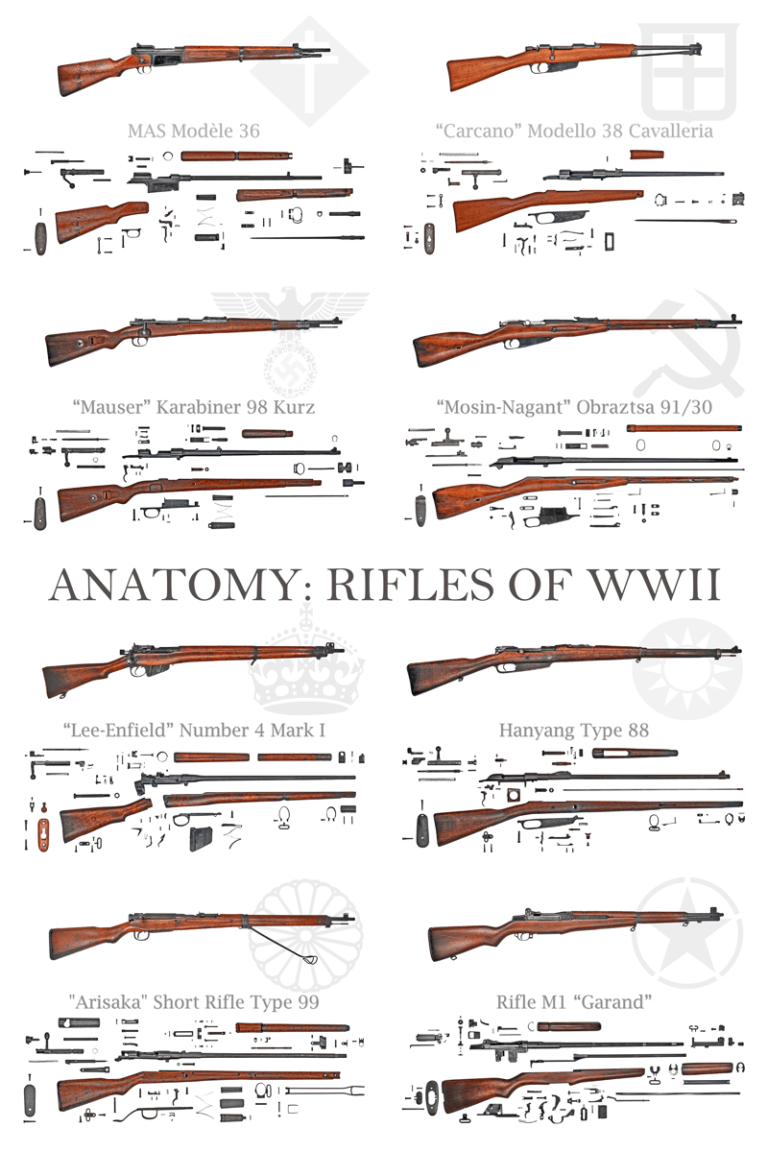 Anatomy: Rifles of WWII Poster - C&Rsenal